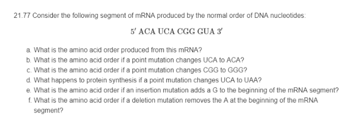 Solved 21.77 Consider the following segment of mRNA produced | Chegg.com