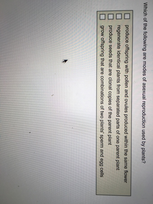 Solved Place the stages in the process of angiosperm | Chegg.com