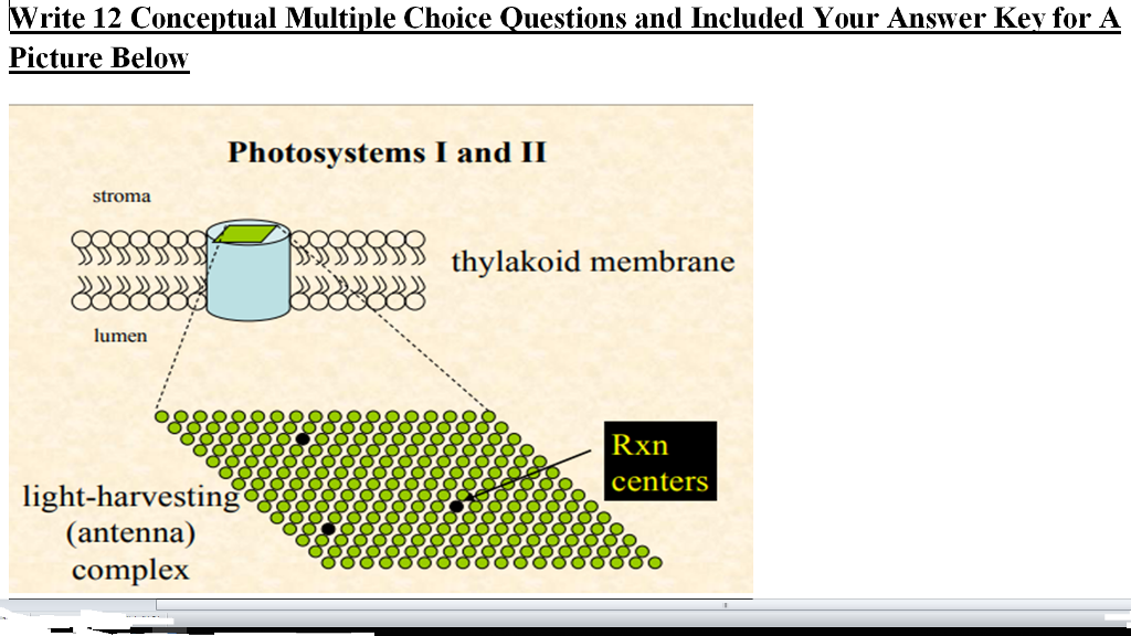 Solved Note: Write 12 Conceptual Multiple Choice Questions | Chegg.com