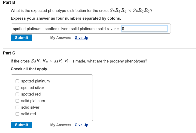 Solved Item 9 The coat color in mink is controlled by two | Chegg.com