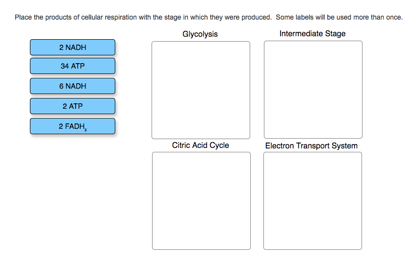 Solved Place the products of cellular respiration with the | Chegg.com