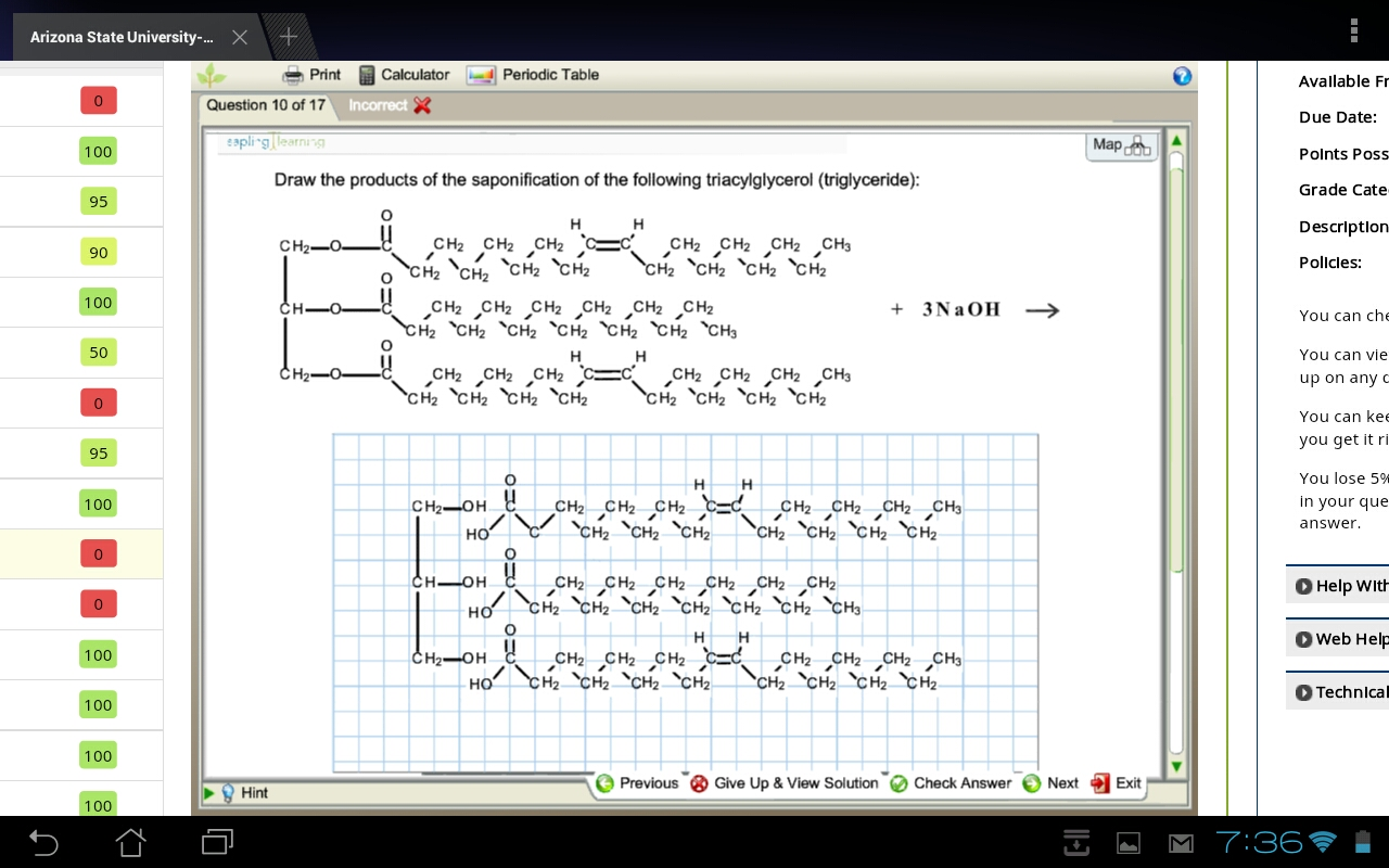 Solved Violation | Chegg.com