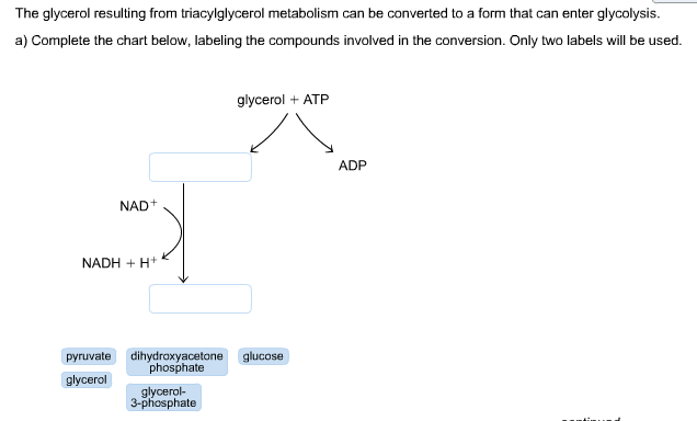 Solved The glycerol resulting from triacylglycerol | Chegg.com