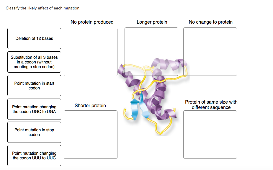 Solved Classify the likely effect of each mutation. Deletion | Chegg.com