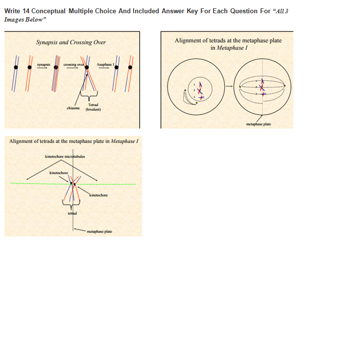 Solved Note: Write 14 Conceptual Multiple Choice And | Chegg.com