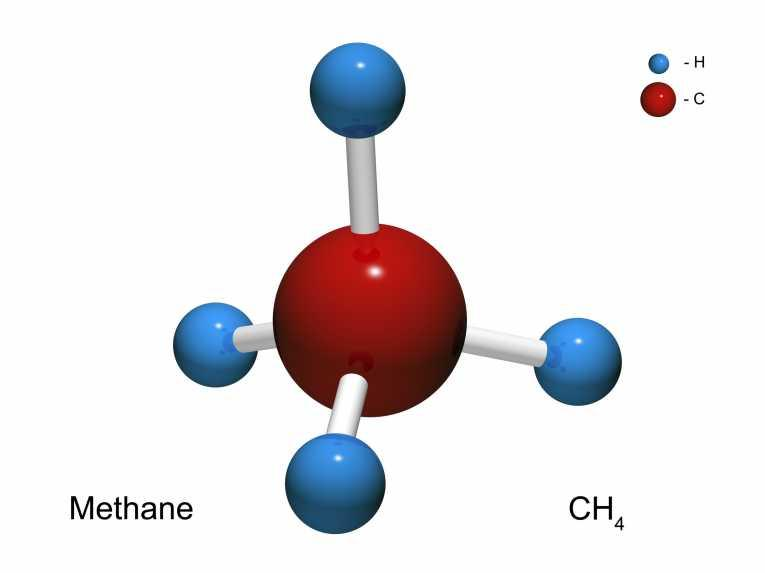 Carbon Atom Structure 3d