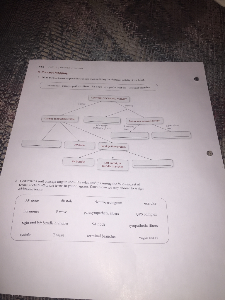 Solved POST LAB ASSIGN MENTS in MasteringA&P Date: Lab | Chegg.com