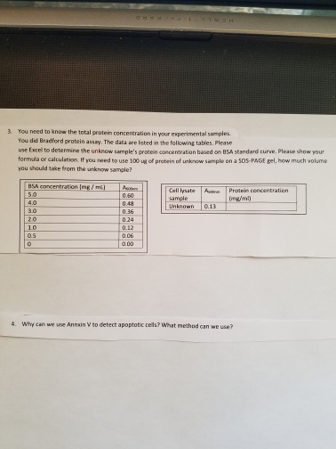 Solved 3 You need to know the total protein concentration in | Chegg.com