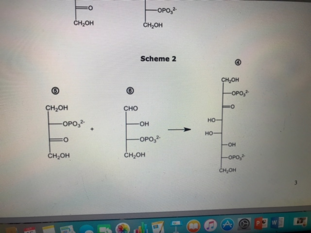 Solved OPO CH2OH CH2OH Scheme 2 CH2OH -OP032- CH2OH CHO | Chegg.com