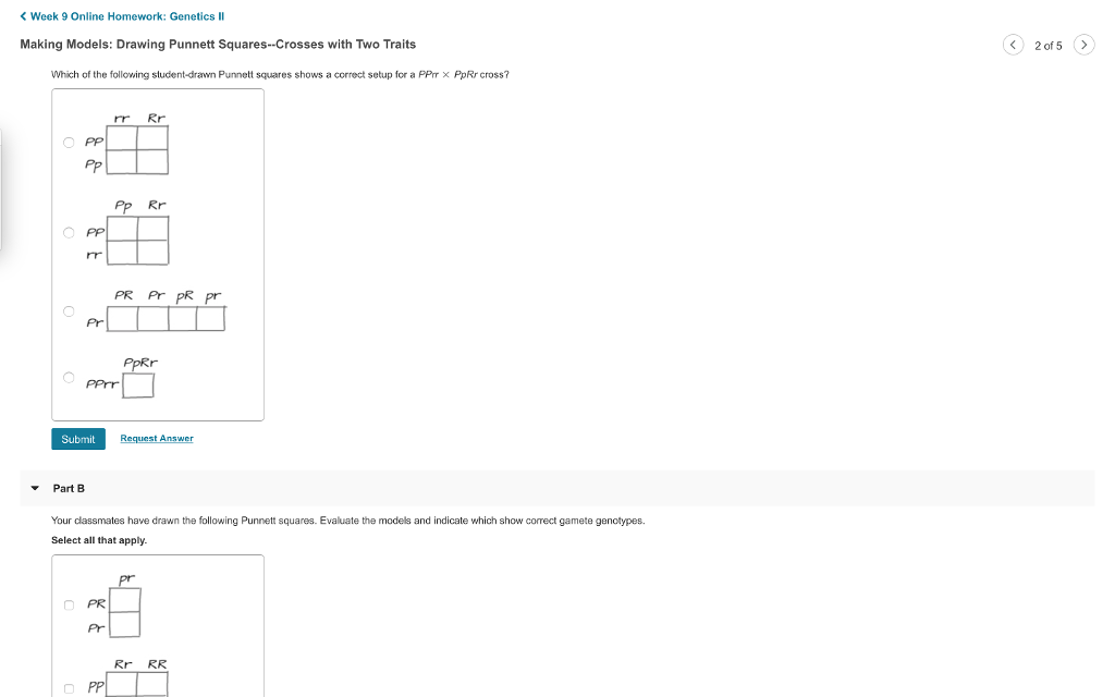 Solved week 9 Online Homework: Genetics ll Making Models: | Chegg.com