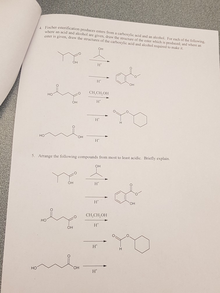 Solved Fischer esterification produces esters from a | Chegg.com