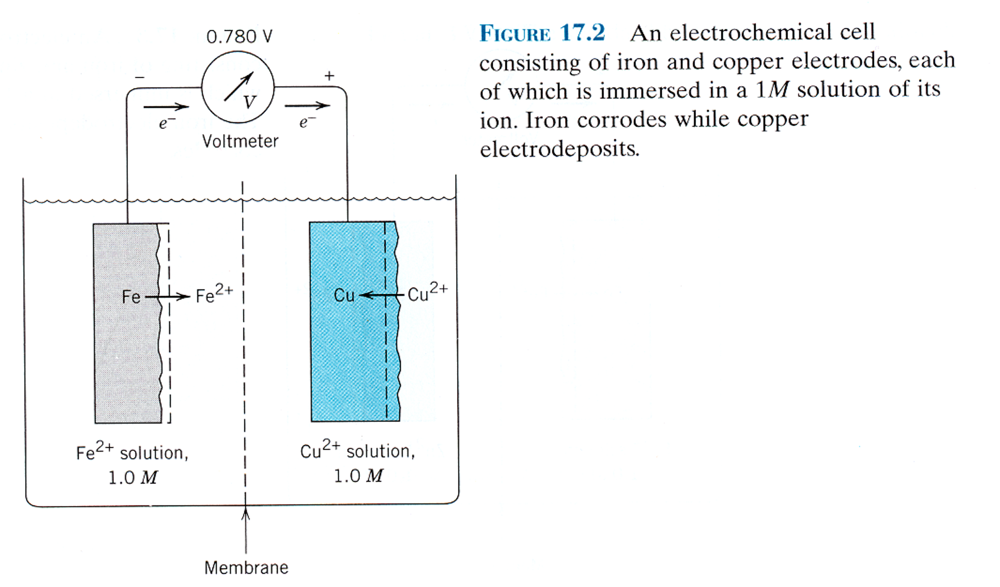 Complete the table below. Which metal is Fe2+ + 2e– | Chegg.com