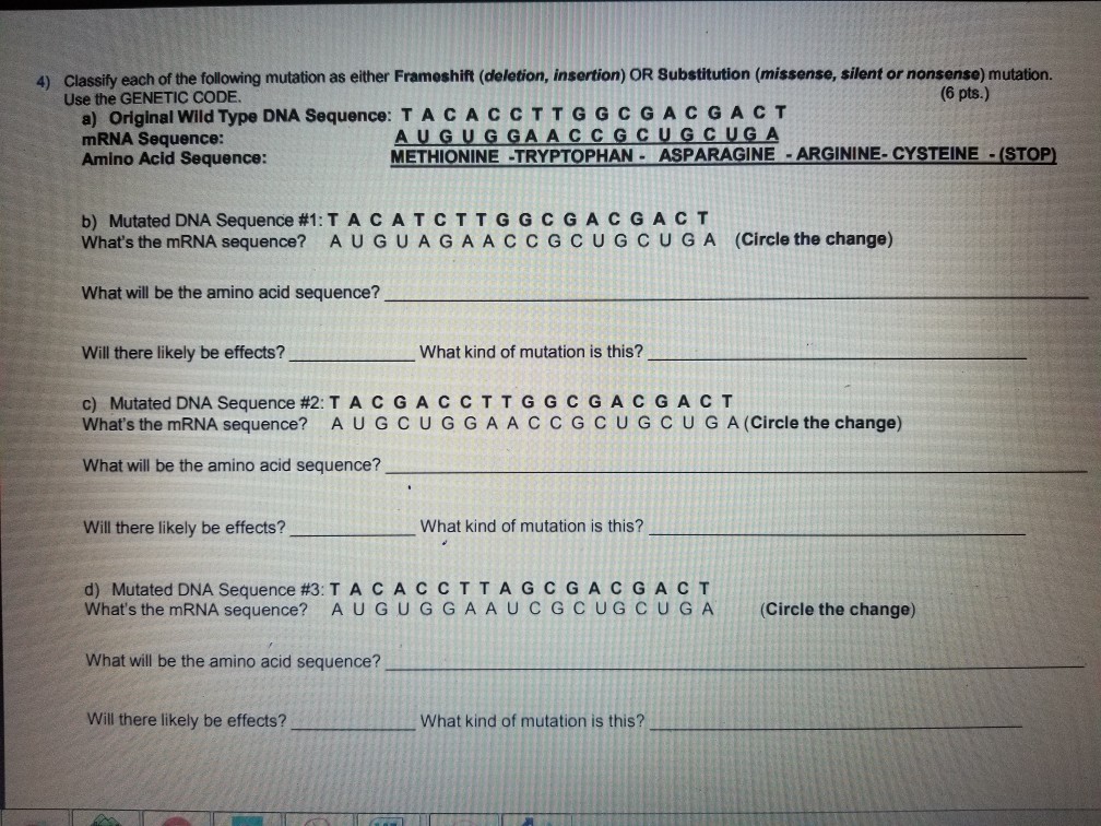 Solved 4) Classify each of the following mutation as either | Chegg.com