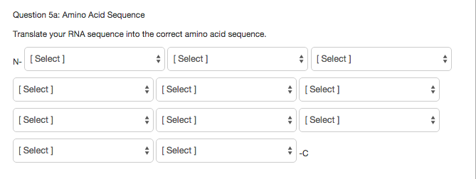 Solved Question 5a: Amino Acid Sequence Translate your RNA | Chegg.com