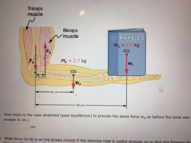 Solved In the figure below, the biceps muscle exerts a force | Chegg.com
