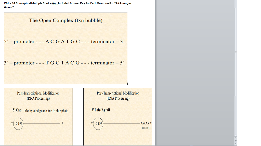 Solved Note: Write 14 Conceptual Multiple Choice And | Chegg.com