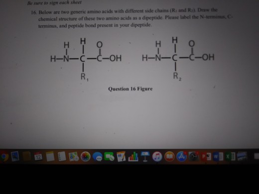 Solved sure to sign each sheet 16. Below are two generic | Chegg.com