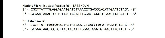 Solved Directions: Just as in class, after finding the | Chegg.com