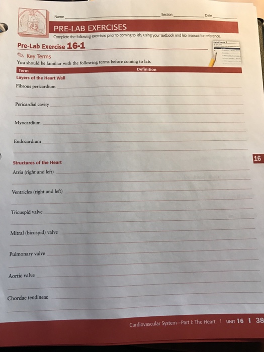 Solved PRE-LAB EXERCISES Complete the folowing exercises | Chegg.com