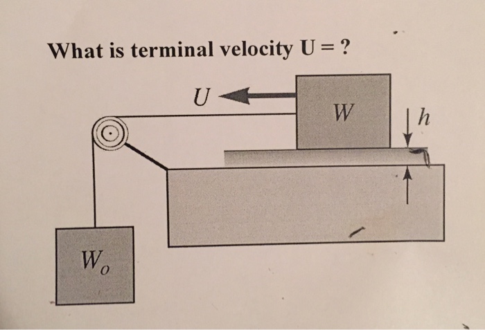 Solved What is terminal velocity U = ? | Chegg.com