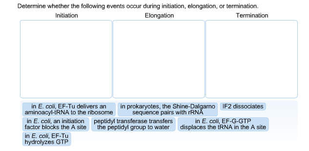 Solved Determine whether the following events occur during | Chegg.com