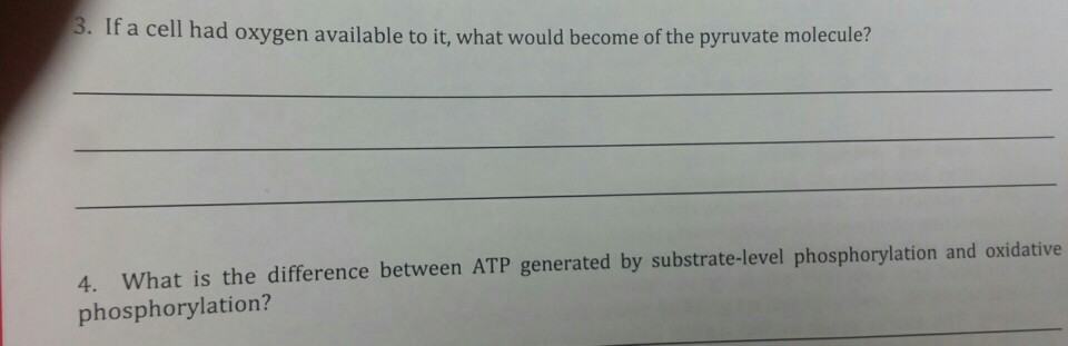 Solved 3. If a cell had oxygen available to it, what would | Chegg.com