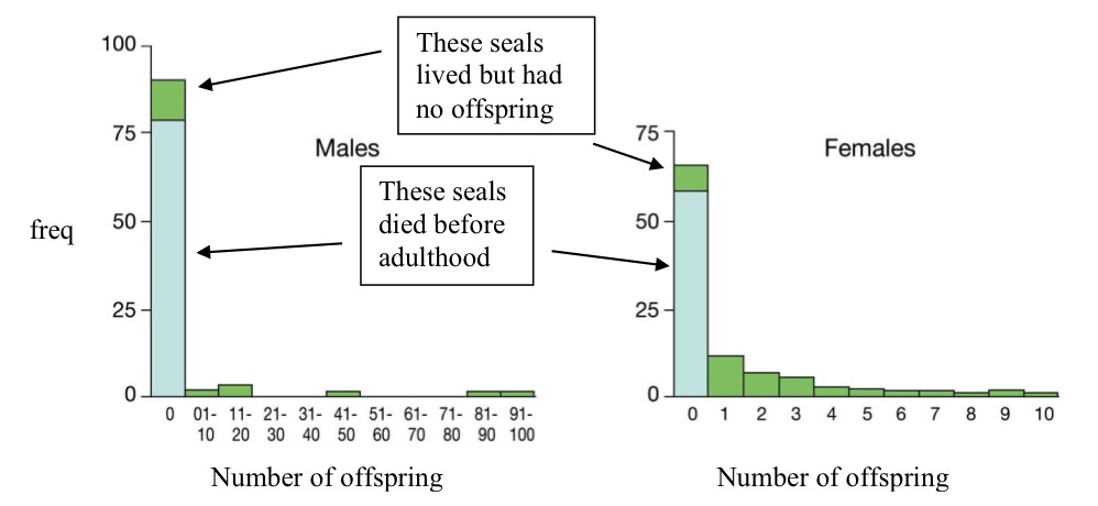These graphs show variation in lifetime reproductive | Chegg.com