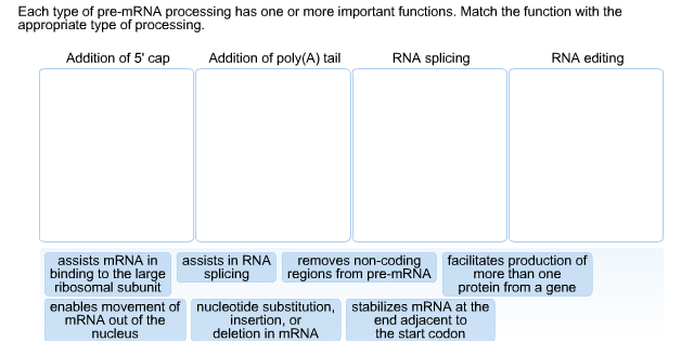 Solved Each type of pre-mRNA processing has one or more | Chegg.com