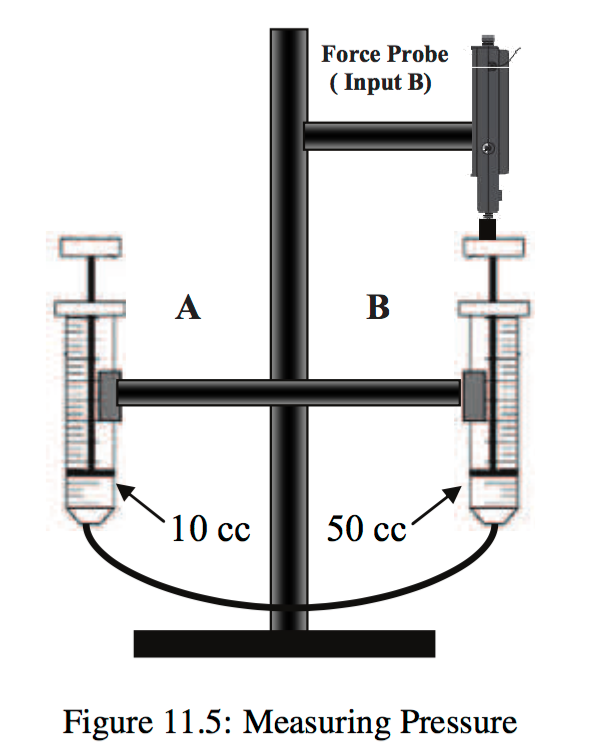 Solved 1. Place the piston into the 10cc syringe. Now you | Chegg.com