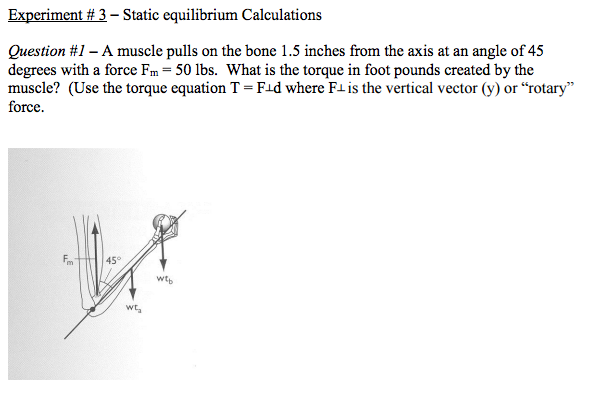 Solved Static equilibrium Calculations A muscle pulls on | Chegg.com