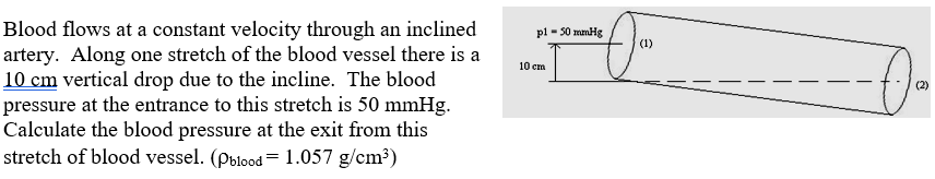 Solved Blood flows at a constant velocity through an | Chegg.com