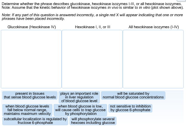 Solved Determine whether the phrase describes glucokinase, | Chegg.com