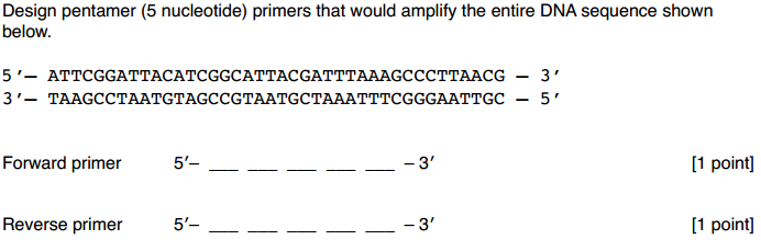 Solved Design pentamer (5 nucleotide) primers that would | Chegg.com