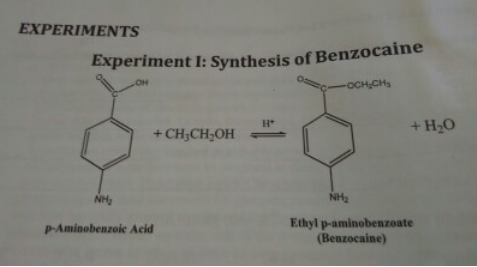 Solved EXPERIMENTS Experiment ent I: Synthesis of Benzocaine | Chegg.com