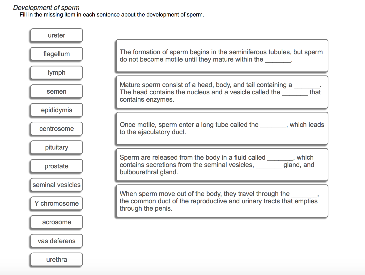 Solved Development of sperm Fill in the missing item in each | Chegg.com