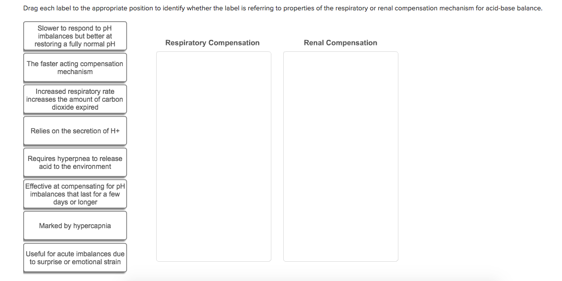 Solved Drag each label to the appropriate position to | Chegg.com Solved Drag each label to the appropriate position to | Chegg.com