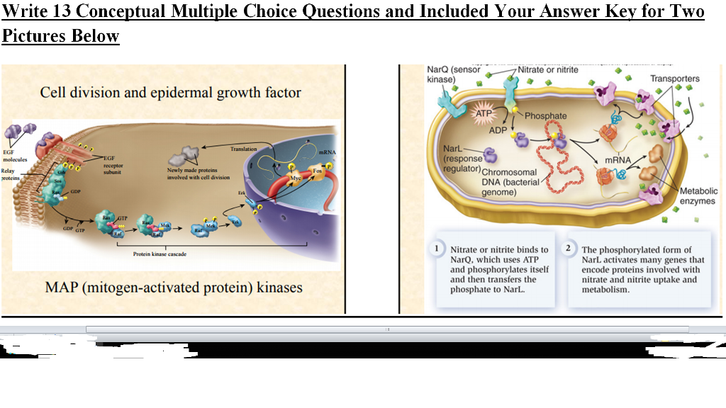 Solved Note: Write 13 Conceptual Multiple Choice Questions | Chegg.com