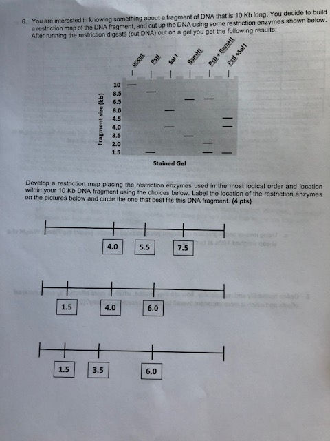 Solved You are interested in knowing something about a | Chegg.com