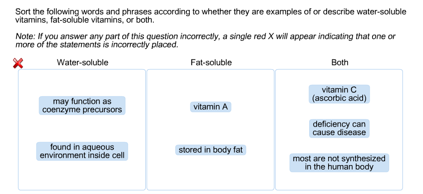 Solved Sort the following words and phrases according to | Chegg.com