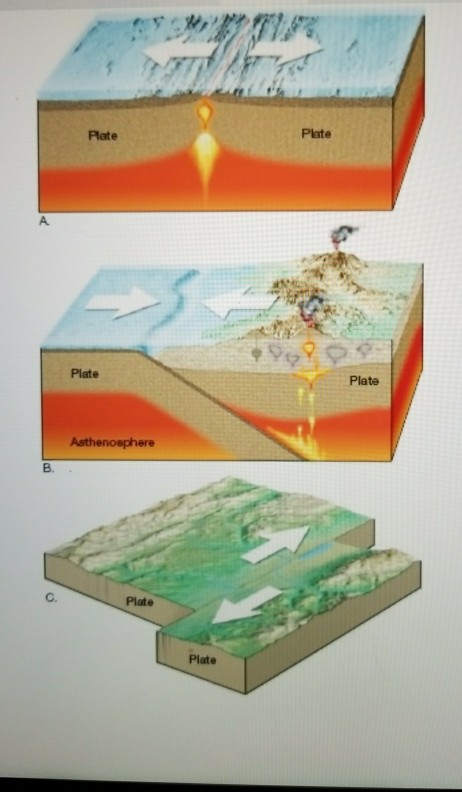Solved Is diagram "B" a convergent, divergent, or transform | Chegg.com