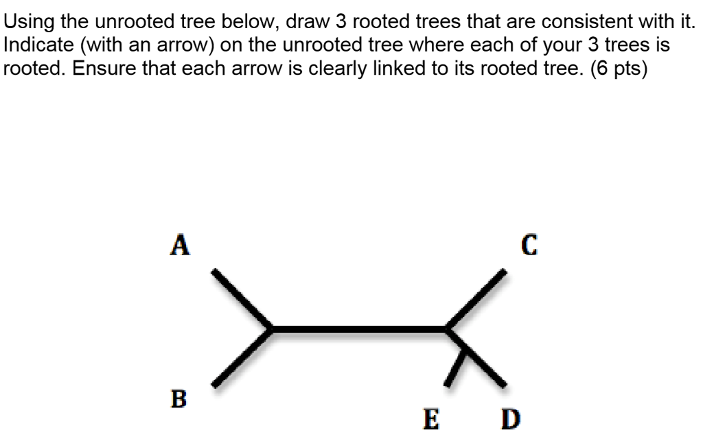 Solved Using the unrooted tree below, draw 3 rooted trees | Chegg.com
