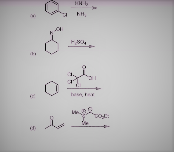 Solved KNH CI NH3 H2SO4 Cl CI OH Cl base, heat Me | Chegg.com