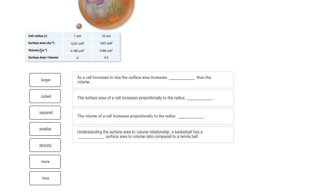 Solved Cell radius (r) Surface area (4xr Volume Surface Area | Chegg.com
