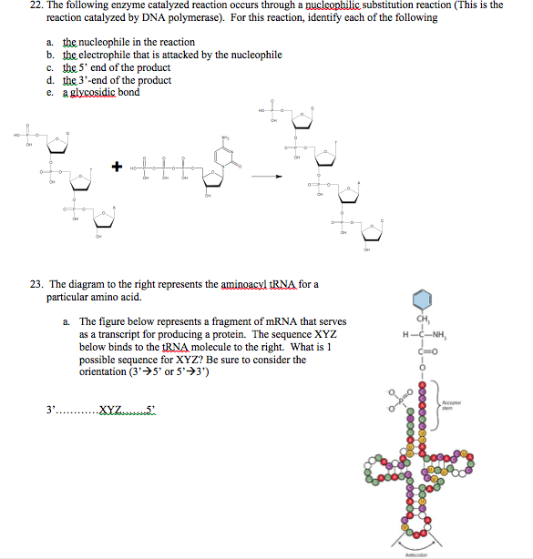 Solved 22 The Following Enzyme Catalyzed Reaction Occurs