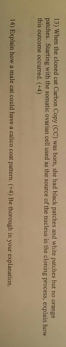 Solved 13) When the cloned cat Carbon Copy (CC) was born, | Chegg.com