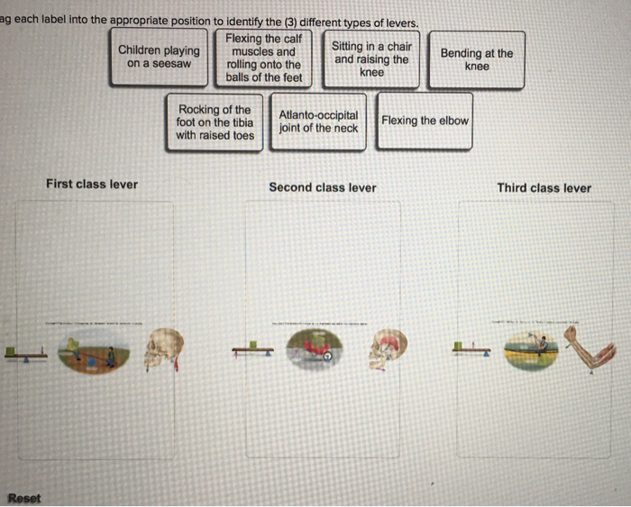 Solved Drag each label into the appropriate position to | Chegg.com
