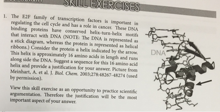 Solved The E2F family of transcription factors is important | Chegg.com