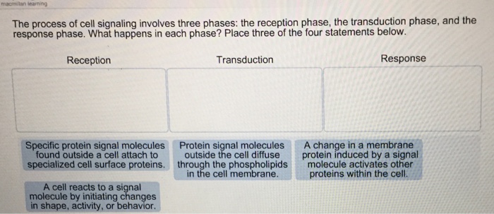 Solved The process of cell signaling involves three phases: | Chegg.com