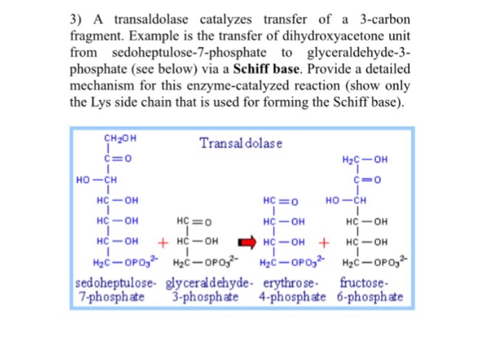 Solved A transaldolase catalyzes transfer of a 3-carbon | Chegg.com