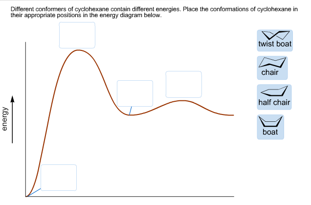 Solved Different conformers of cyclohexane contain different | Chegg.com
